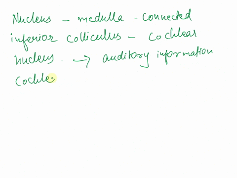 SOLVED: Secondary nucleus is also known as . A. Generative nucleus B ...