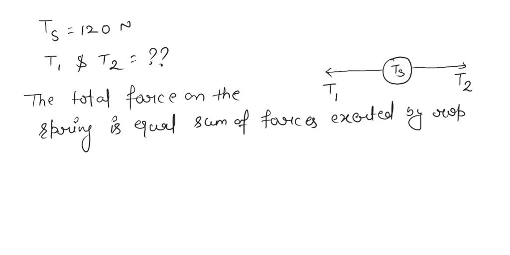 Force T1: Another rope connected the scale on the right and a rope ...