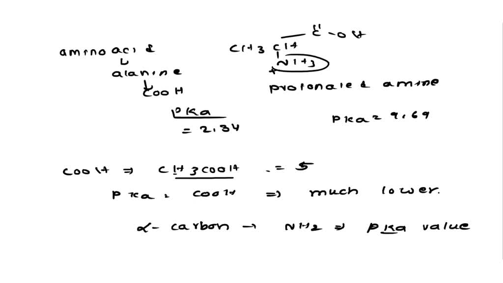 Solved Draw The Structure Of Alanine In A Solution At Ph 0