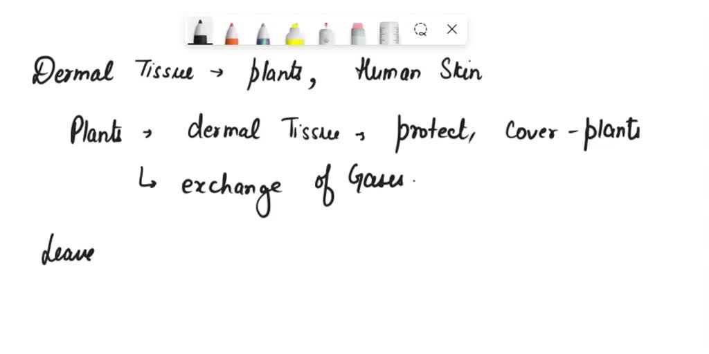 SOLVED: the dermal tissue system has been compared to human skin. in ...