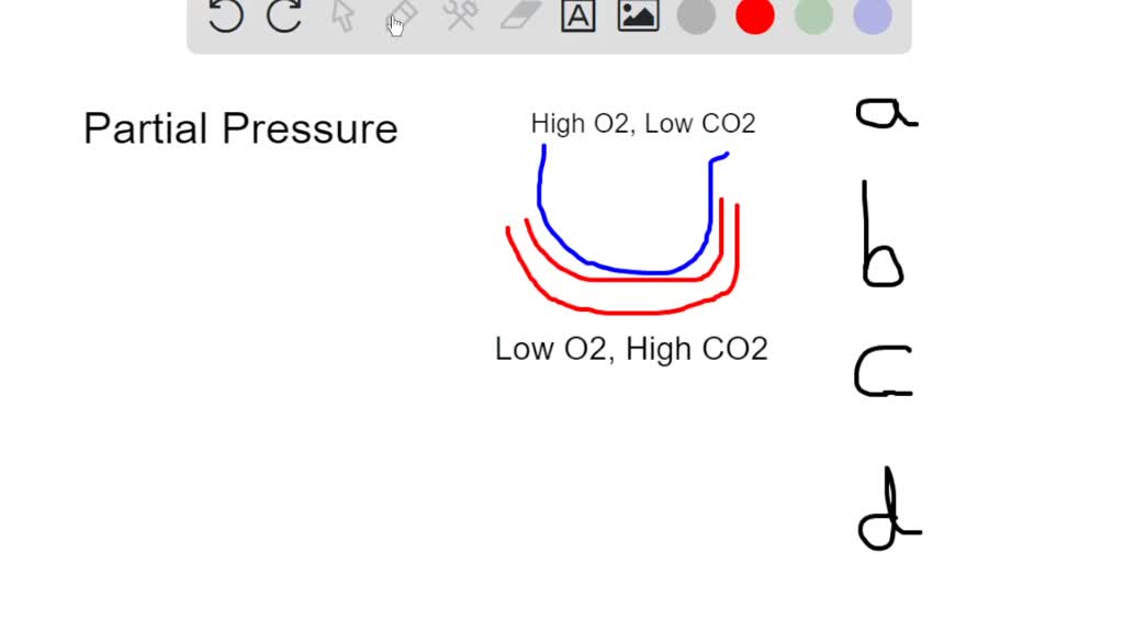 SOLVED: When there is a higher partial pressure of O2 in the lungs: A ...