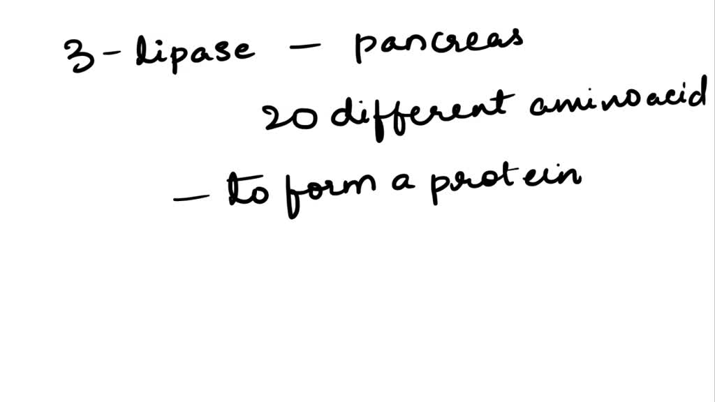 SOLVED: In dogs, lipase is the main digestive enzyme that breaks down ...