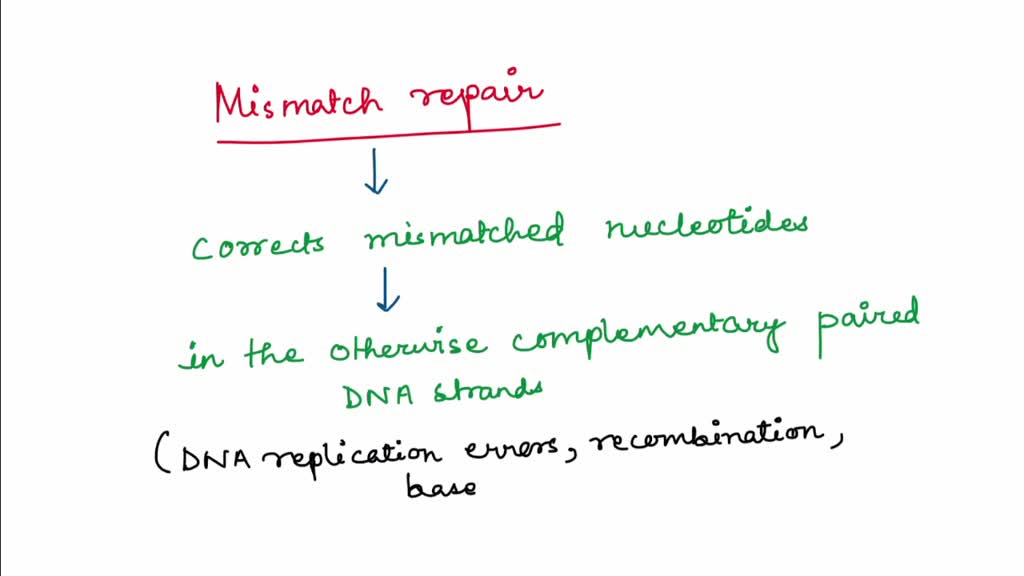 SOLVED: 11 Study TABLE: DNA Damage Repair Pathways Mismatch Direct Base ...