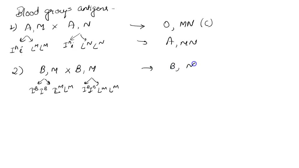 SOLVED: Five human matings (1-5), identified by both maternal and ...
