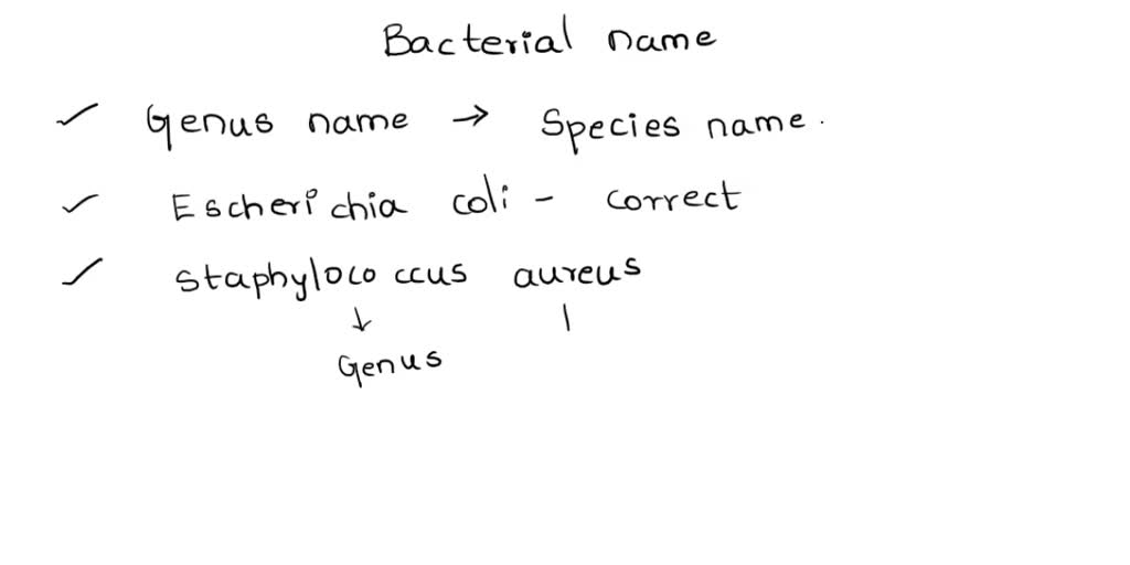 SOLVED: Which of the following is the correct way to write a bacterial ...