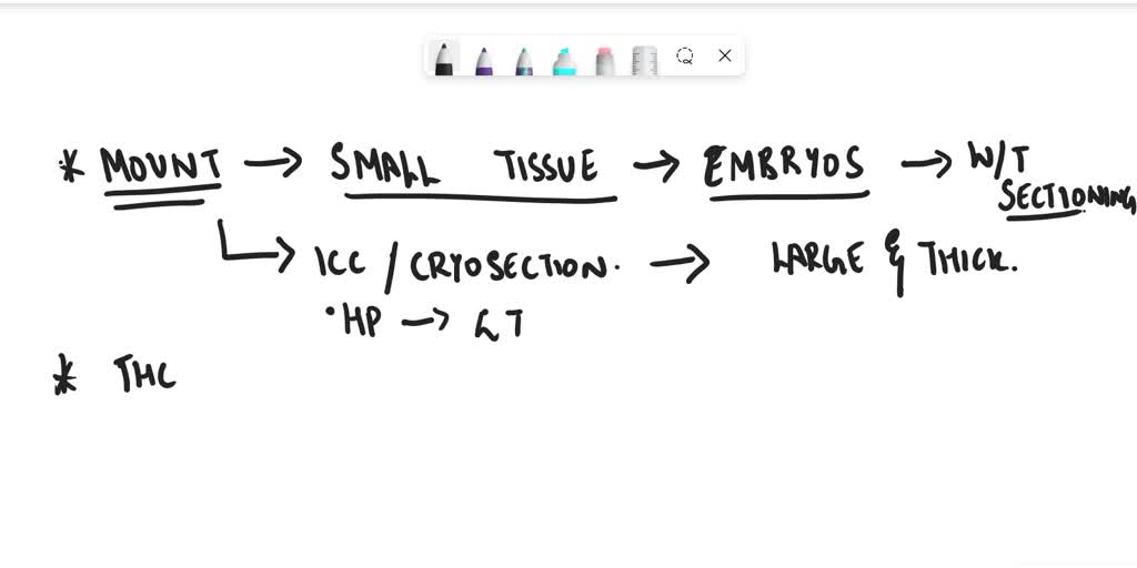 SOLVED: Difference between whole mount staining, histology ...