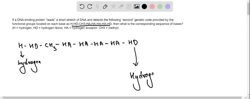 SOLVED: If a DNA-binding protein "reads" a short stretch of DNA and detects the following ...