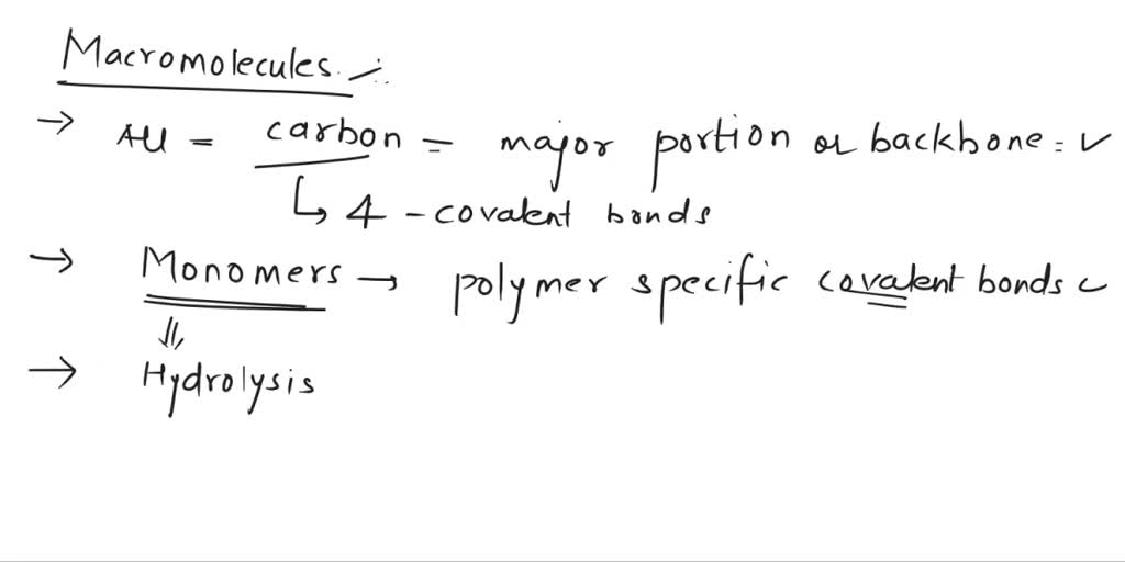 Solved Proteins Carbohydrates Lipids And Nucleic Acids Are The Four