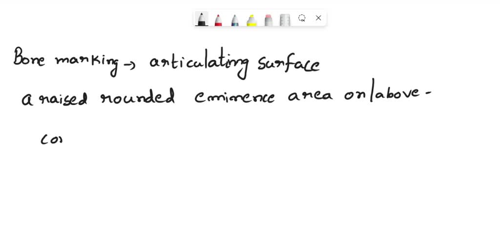 SOLVED: ACTIVITY 7: Answer the bone markings questions below 3) Which ...
