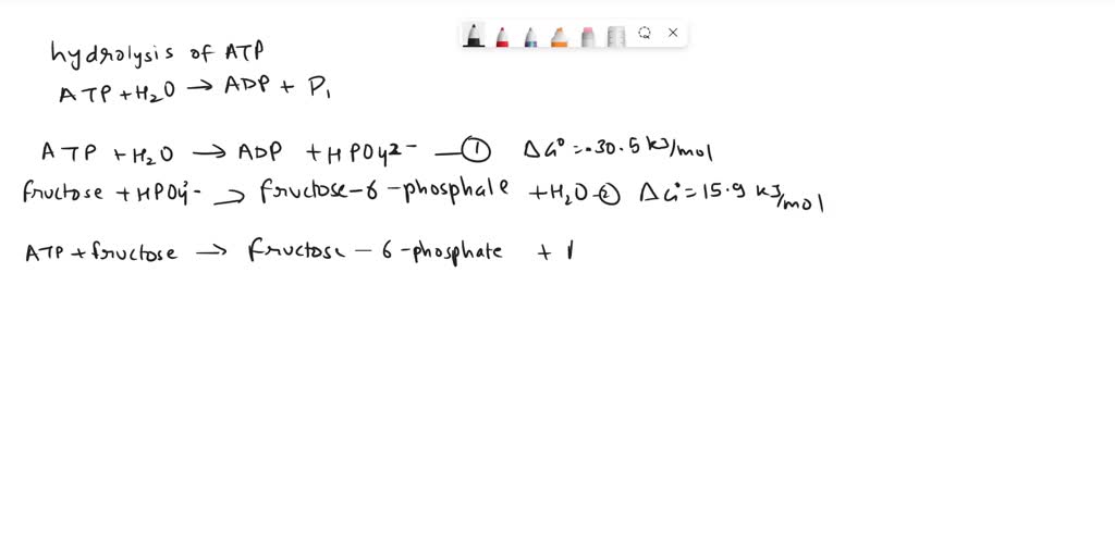 Hydrolysis Of Atp Equation