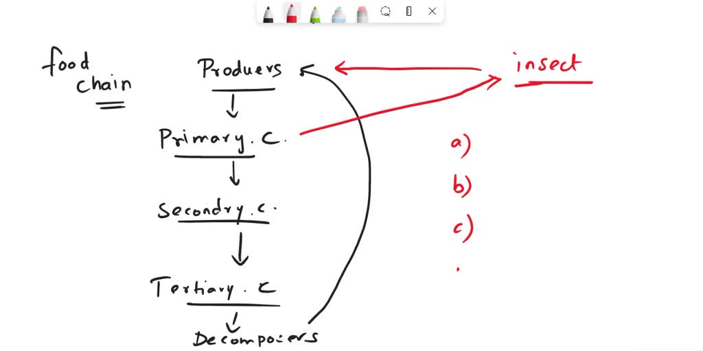 SOLVED: a primary consumer such as an insect derives its energy from ...