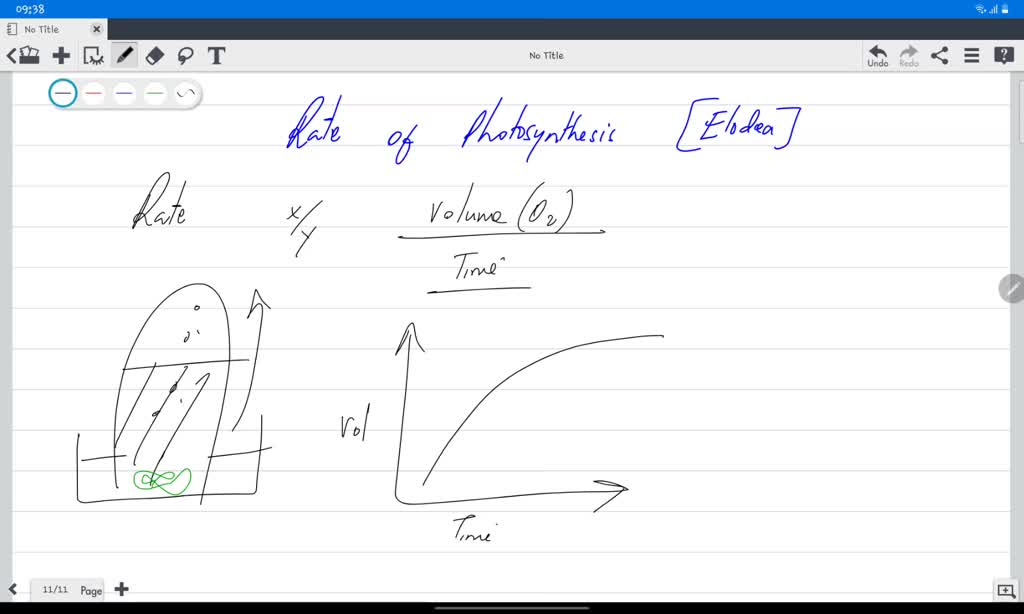 SOLVED: Calculate rate of photosynthesis for Elodea in blue light ... SOLVED: Calculate rate of photosynthesis for Elodea in blue light ...