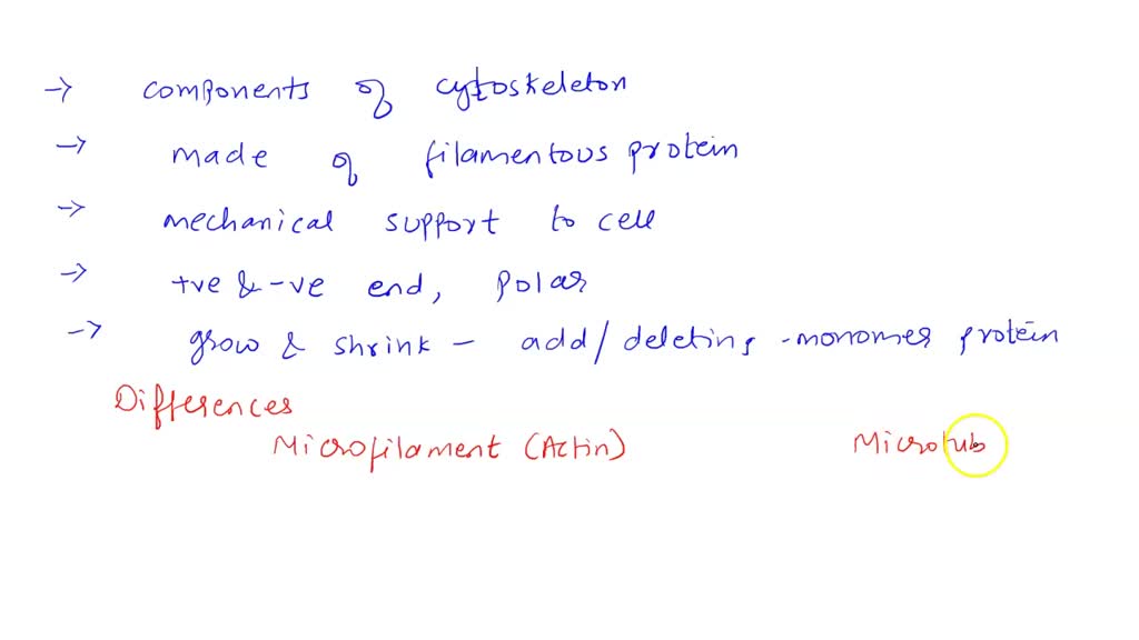 SOLVED: Compare and contrast the cytoskeletal components known as the microfilaments and ...