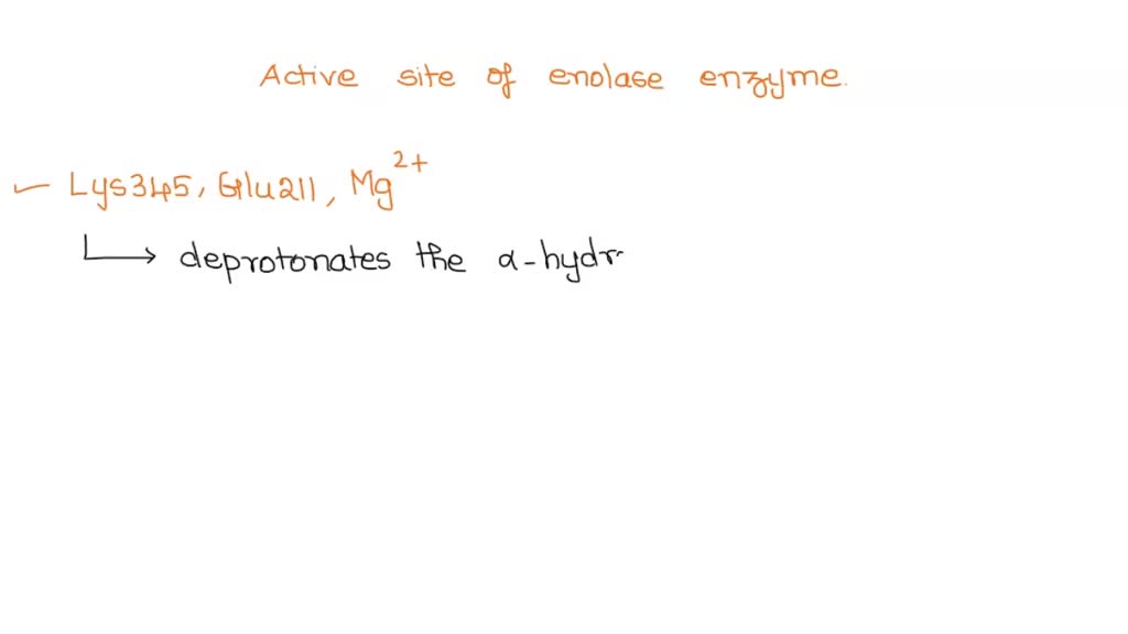 SOLVED:Mechanism below shows active site of enolase enzyme. Enolase ...