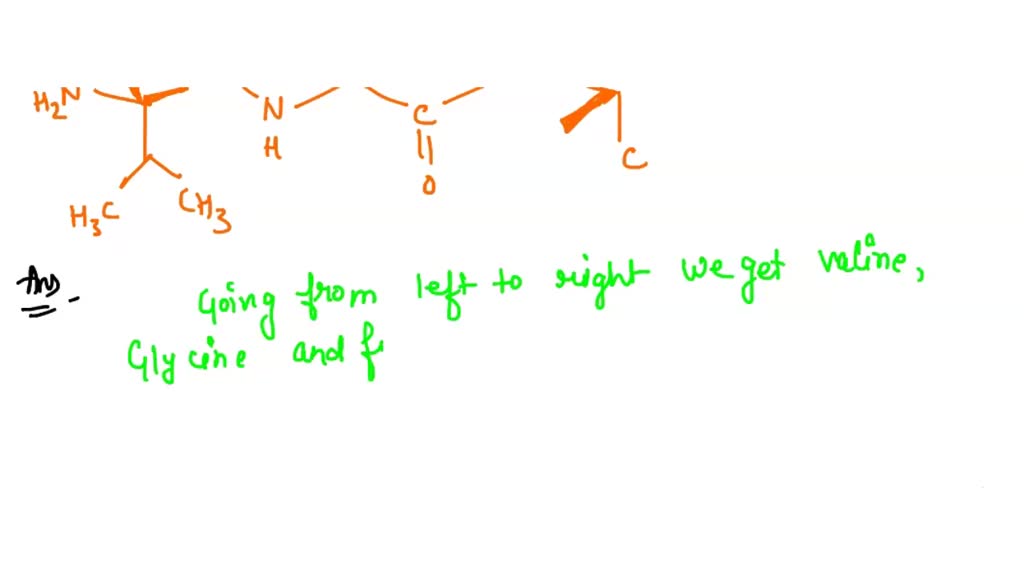 SOLVED: Question 33 (Mandatory) (1 point) This diagram shows a polymer ...