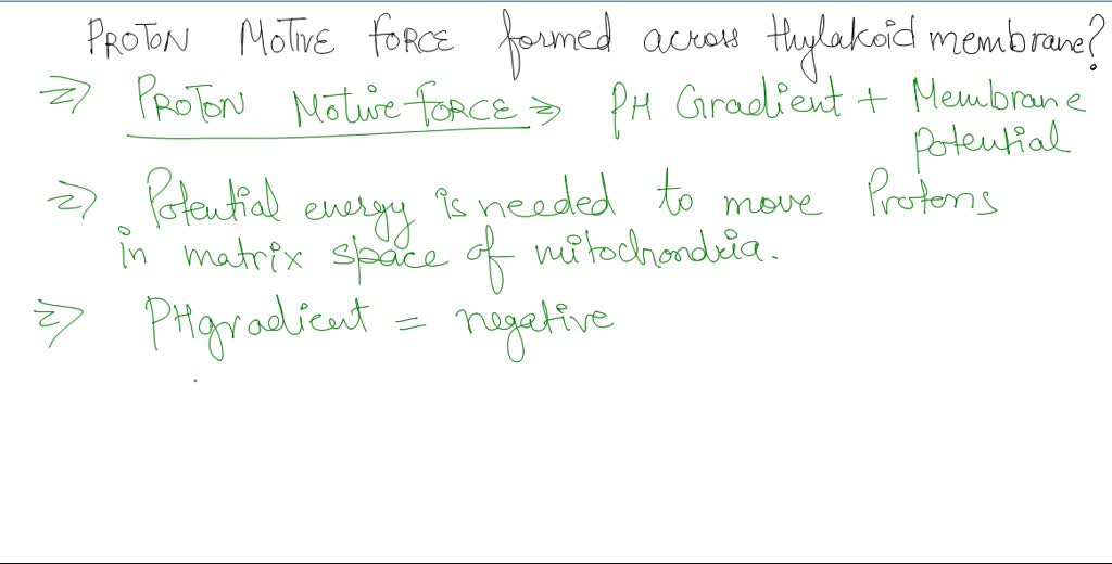 SOLVED: Calculate the proton-motive force that would be formed across a thylakoid membrane that ...