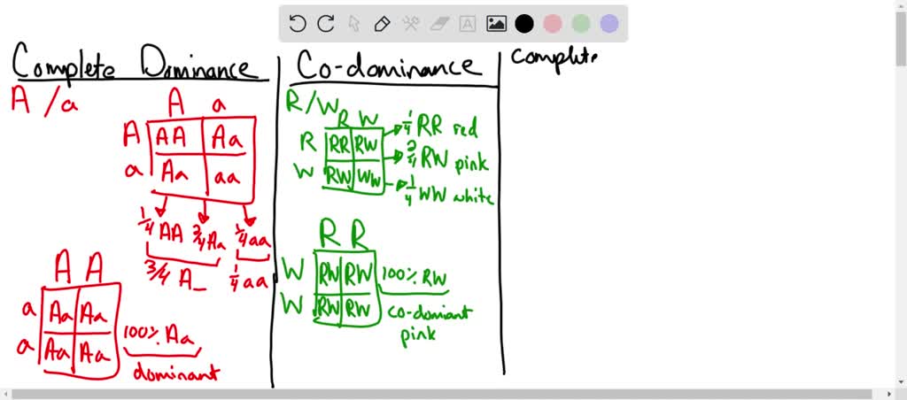 SOLVED: Problem #1In Japanese four o'clock plants red (R) color is ...
