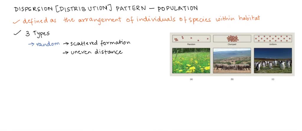 Random Population Distribution