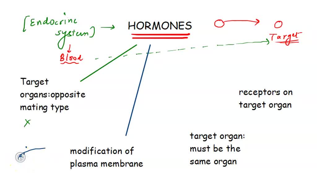 SOLVED: 1a) Can hormones target all cells of the body? Explain. b ...