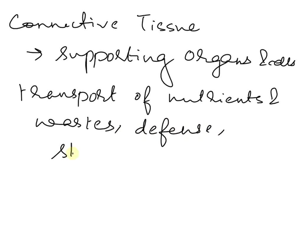 SOLVED: The following are connective tissues: Question 16 options ... SOLVED: The following are connective tissues: Question 16 options ...