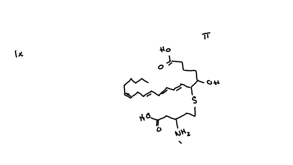 SOLVED: Determine the number of rigid ( π ) bonds in the molecule pictured.