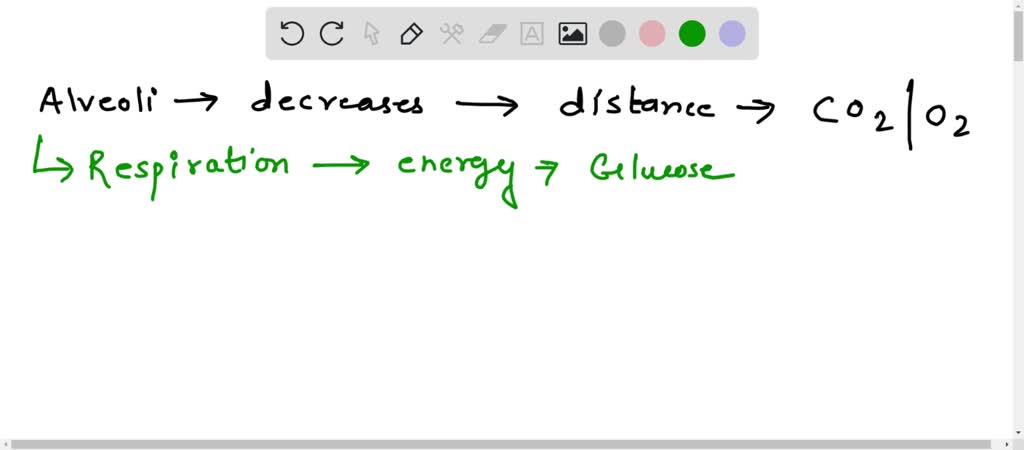 SOLVED: which feature of alveoli decreases the distance over which Oxygen and Carbon dioxide ...