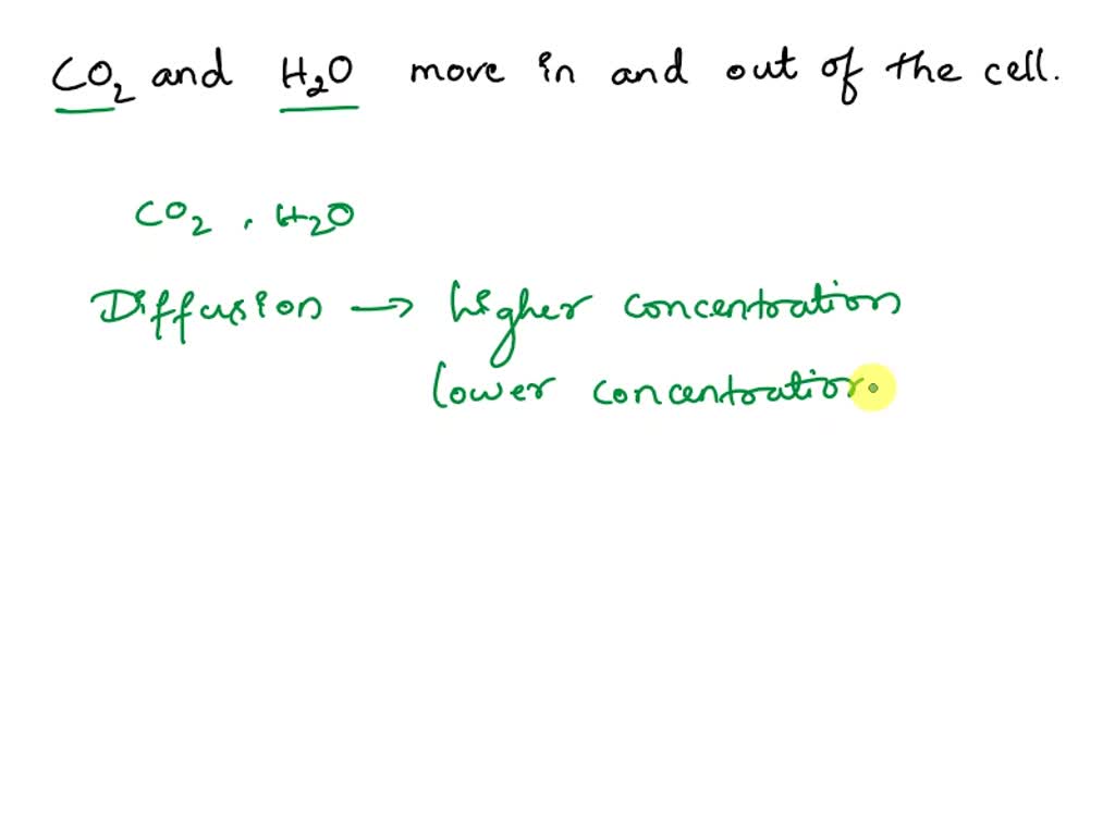 SOLVED: How do substance like CO2 and water move in and out of the cell