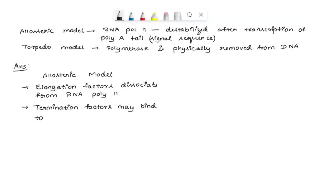 SOLVED: Place the labels in the correct column RNA pol physically ...