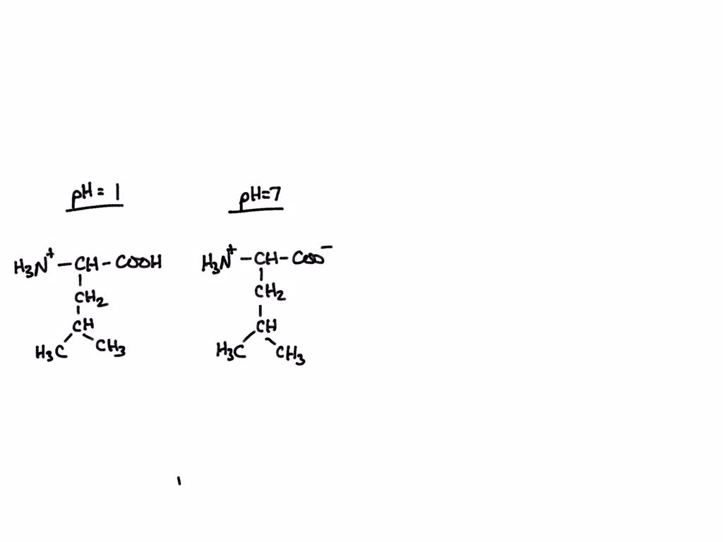 SOLVED: The pKa values for Leucine are: pKa1 = 2.32, pKa2 = 9.58. Draw ...