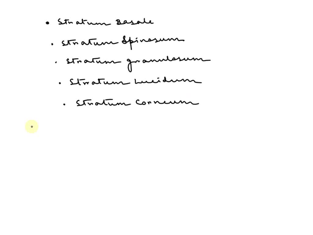 SOLVED: From deepest to most superficial, name and describe the five ...