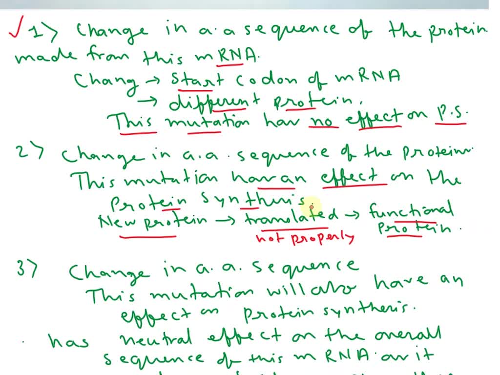 Solved Point Mutations Are Sources Of Errors In Dna Replication Shown