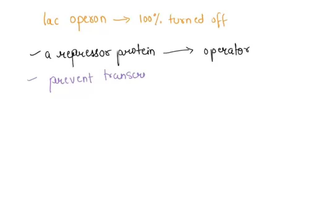 SOLVED: Why would it be a problem for the lac operon if the operon was ...