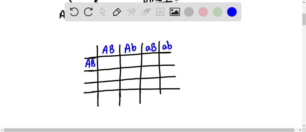 SOLVED: Setup the Punnett square below with the cross of AaBb x AaBb ...