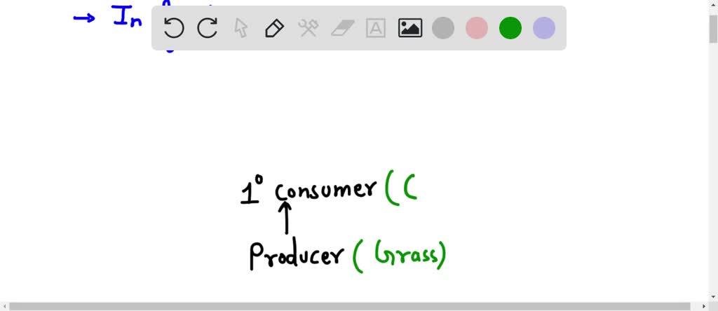 SOLVED: Which of the following is a food chain in the food Web, tree ...