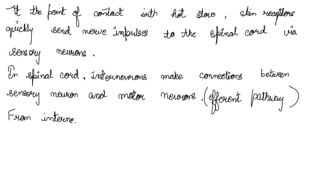 SOLVED: Use the example of touching a hot stove to describe the parts ...