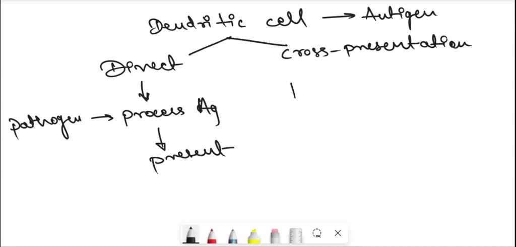 SOLVED: Tolerance and immunity differences depend on the maturation status of antigen-presenting ...