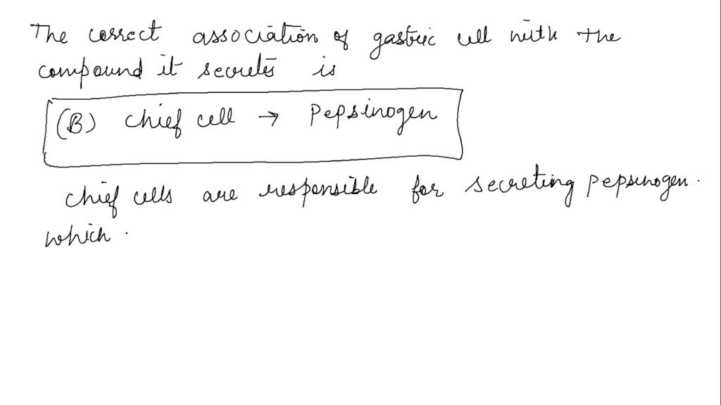 SOLVED: Which of the following gastric gland cells is correctly paired with its secretion ...