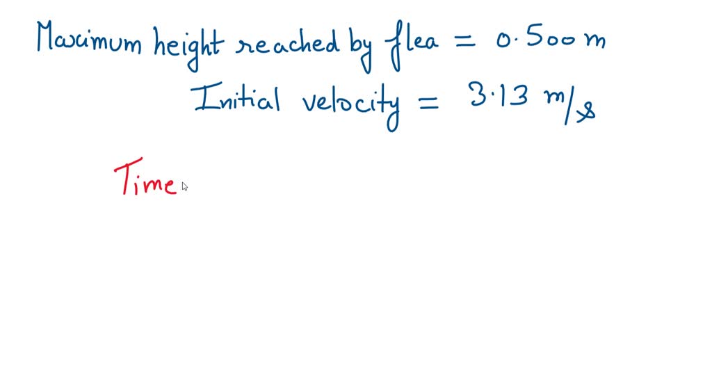 SOLVED: A flea jumps straight up to a maximum height of 0.500 m . How ...