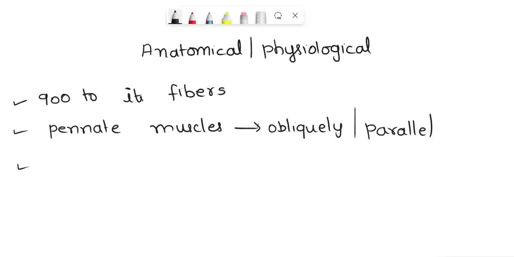 SOLVED: The area of a muscle cross-section that is perpendicular to the ... SOLVED: The area of a muscle cross-section that is perpendicular to the ...