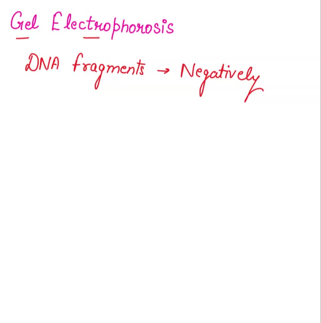 SOLVED: a method using probes to visualize RNA that has been separated ...