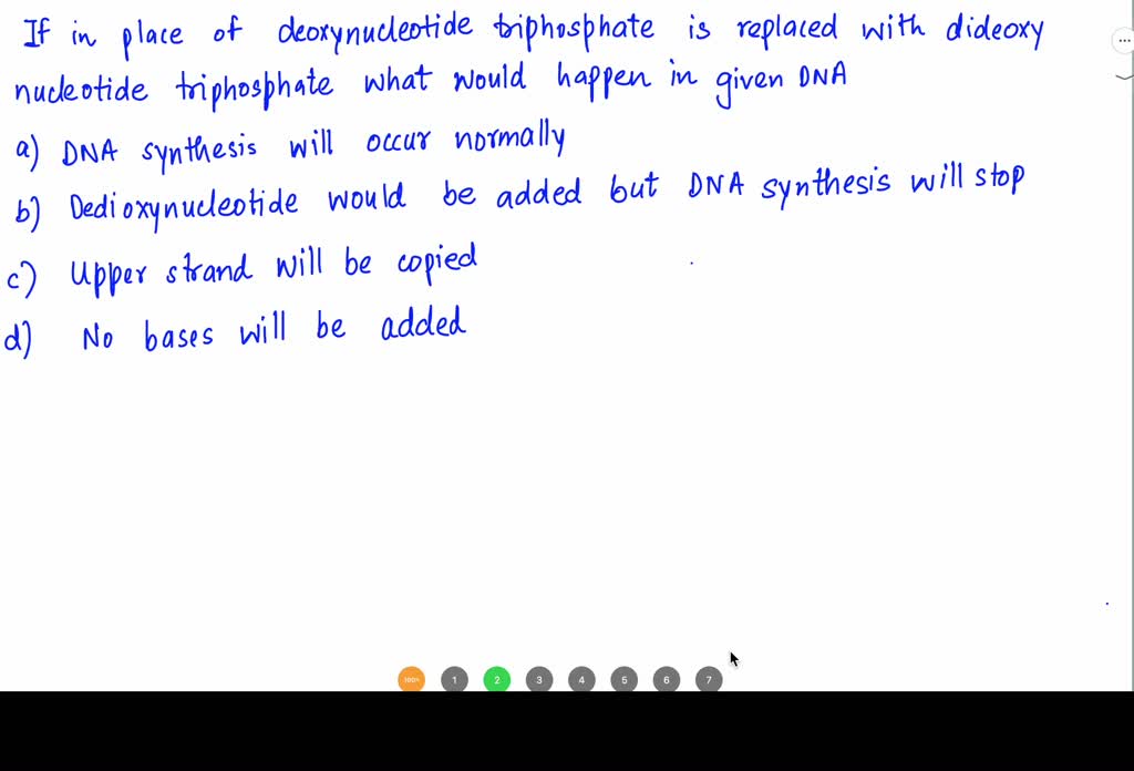 SOLVED: HELP MOLECULAR BIOLOGY QUESTION If the partially double ...