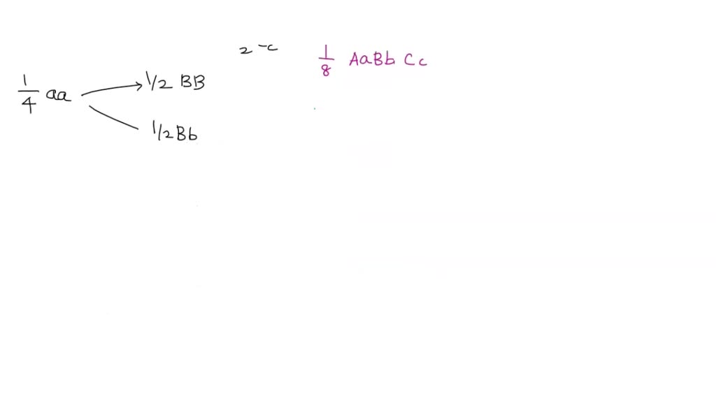 SOLVED: Dow SOLVE THIS 3- Using the forked-line, or branch diagram ...