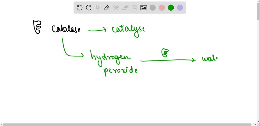 SOLVED: Write out the chemical equation for the chemical reaction that ...