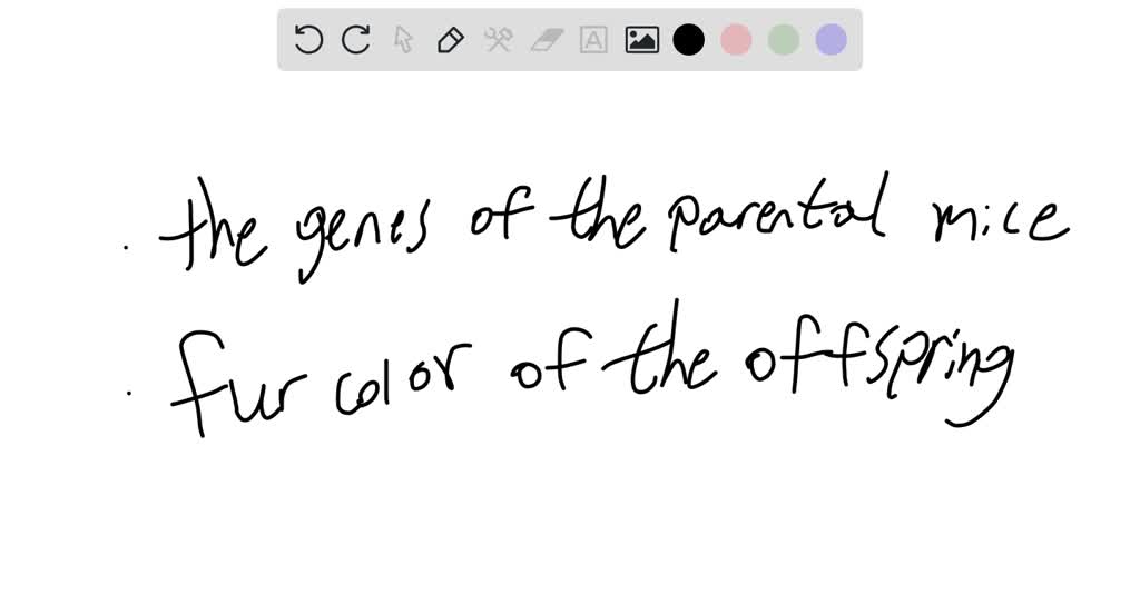 SOLVED: Which factors changed throughout the experiment? Check all that ...