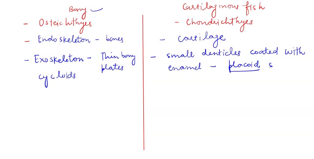 SOLVED: 3. Complete the following comparison between cartilaginous fish ...
