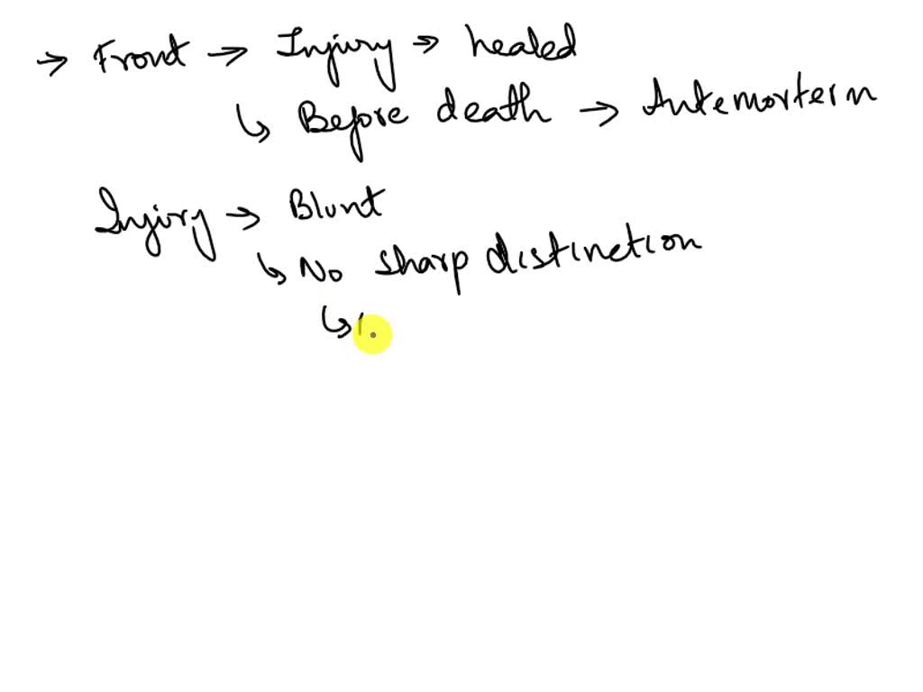 SOLVED: A skull displays evidence of a gunshot wound with concentric ...
