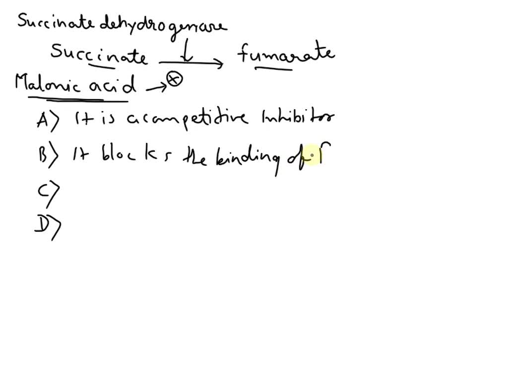 SOLVED: Succinate dehydrogenase catalyzes the conversion of succinate ...