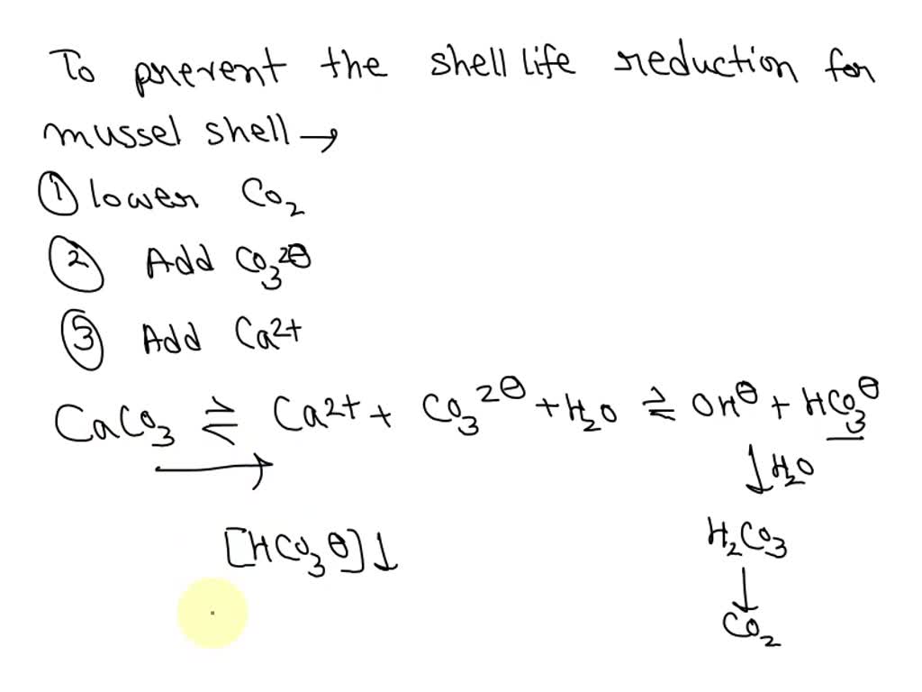 SOLVED: The mussel shells are eroding because the ocean is too acidic ...