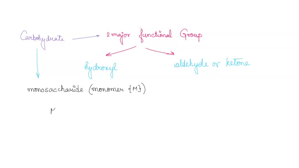 SOLVED: Primers are short DNA oligomers that complement the template ...