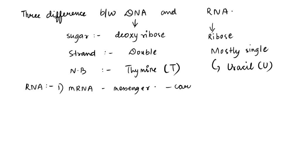SOLVED: Questions: What are three differences between DNA and RNA? What ...